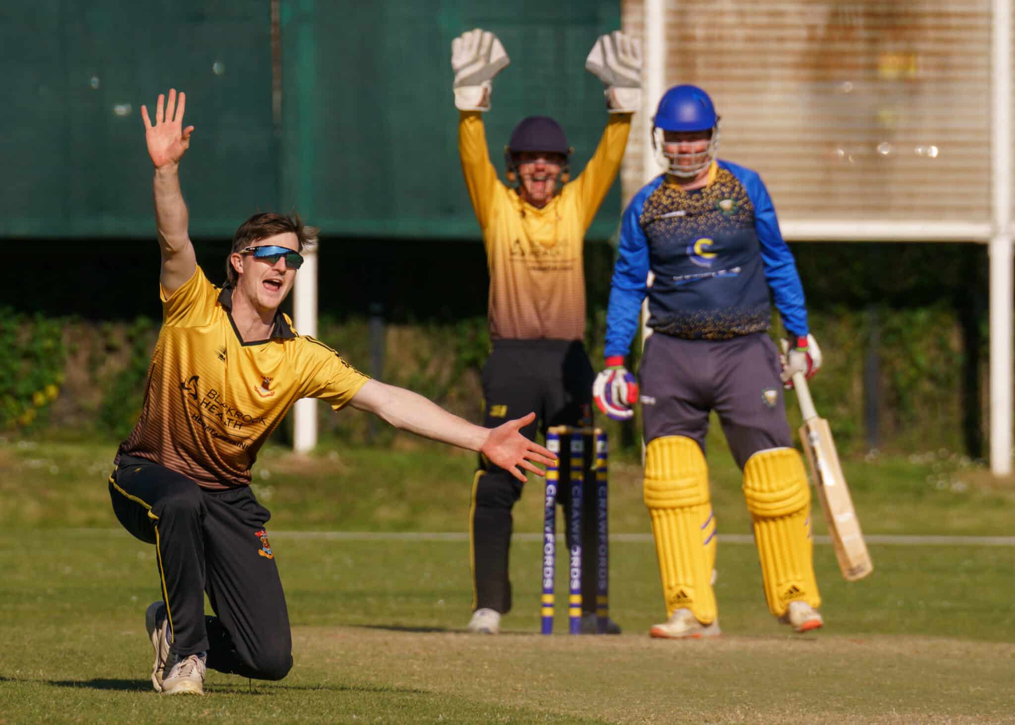 News - Cricket Ireland